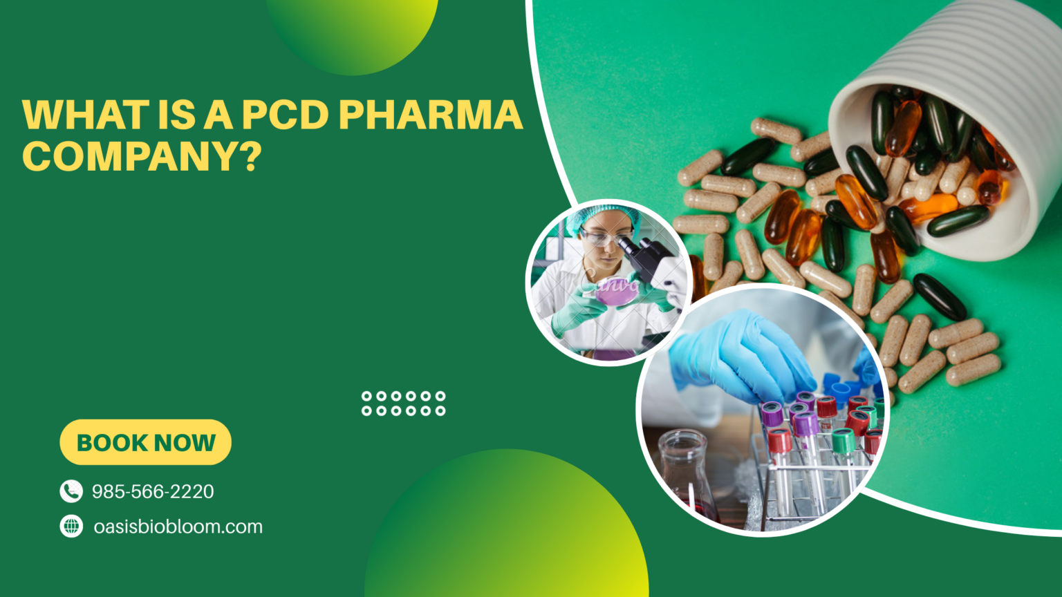 What Is a PCD Pharma Company? Franchise, Benefits & Scope